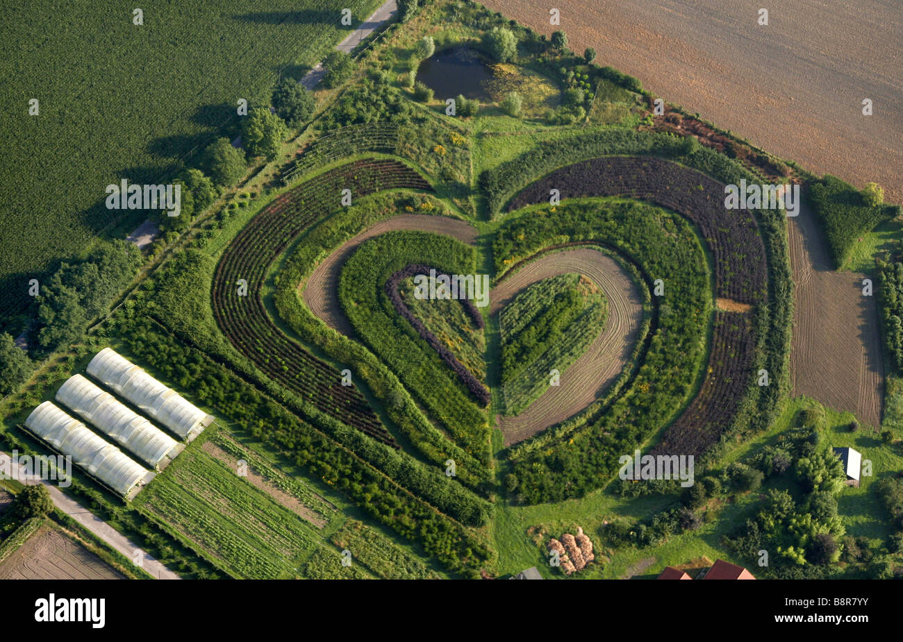Symmetrical heart shaped hi-res stock photography and images - Alamy