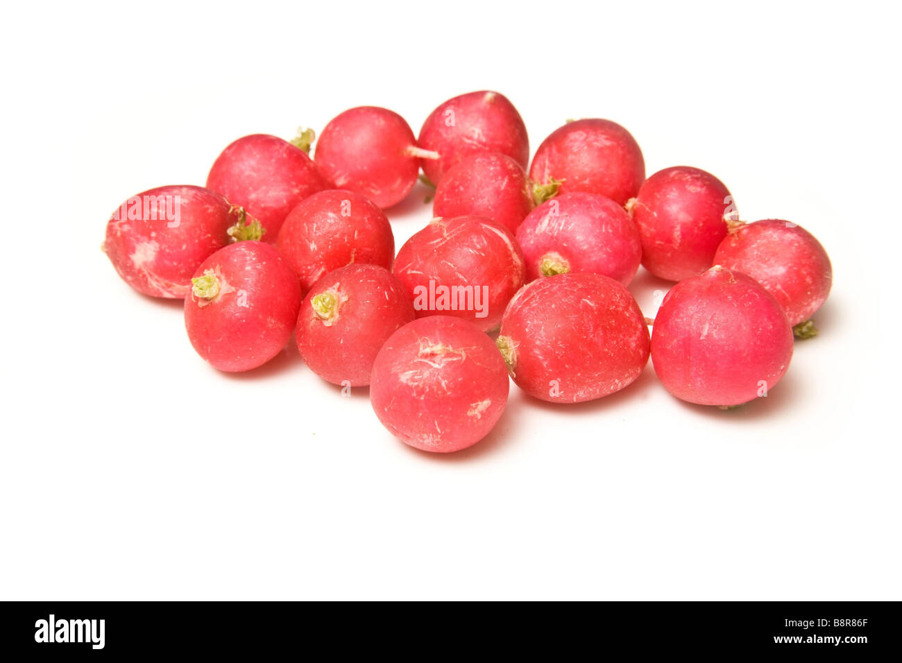 Radishes isolated on a white studio background Stock Photo - Alamy