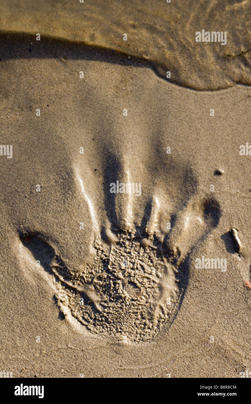 Hand in hand at the seaside hi-res stock photography and images - Alamy