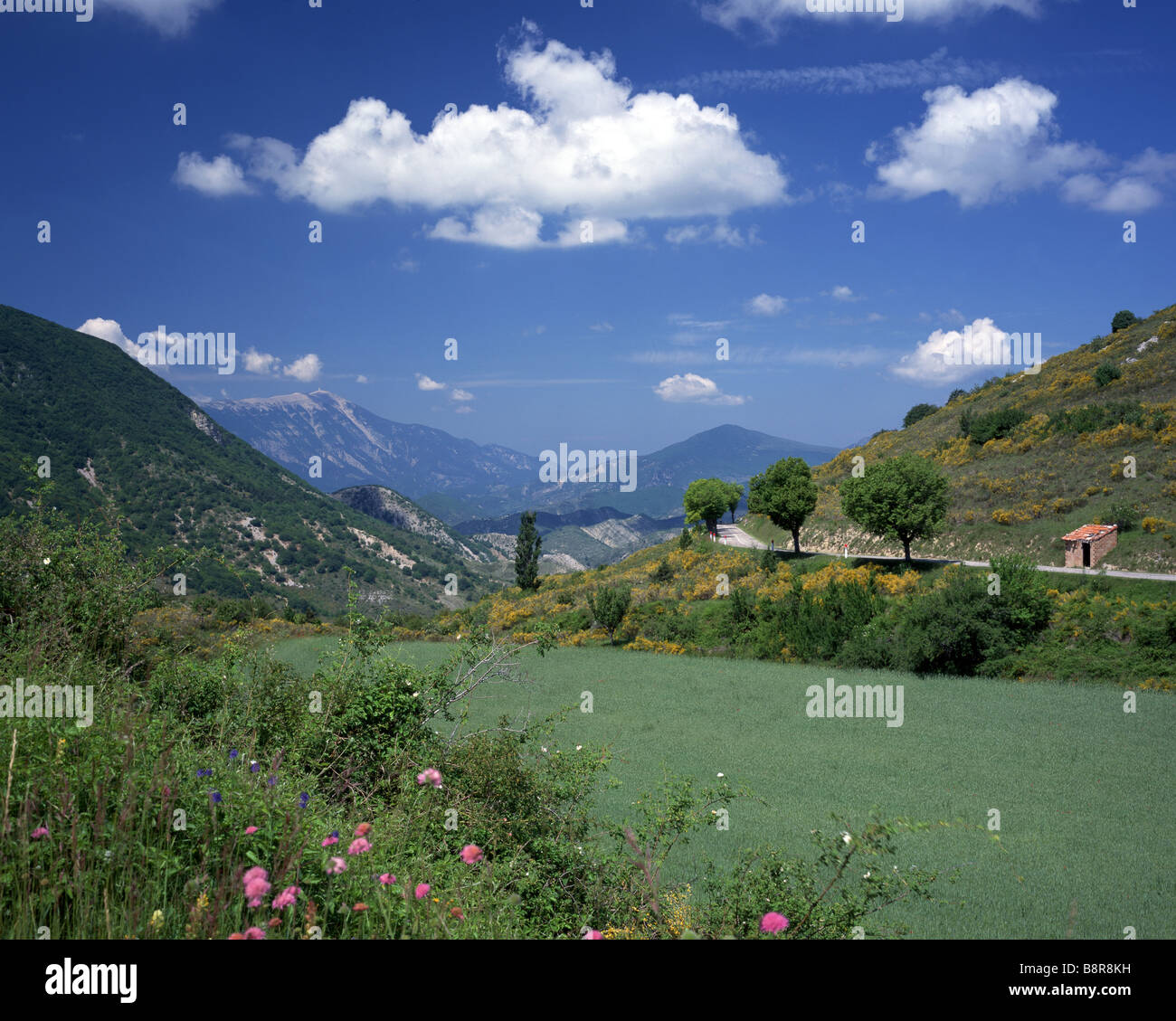 summerly mountanin scenery at the Mont Ventoux, France, Provence Stock ...