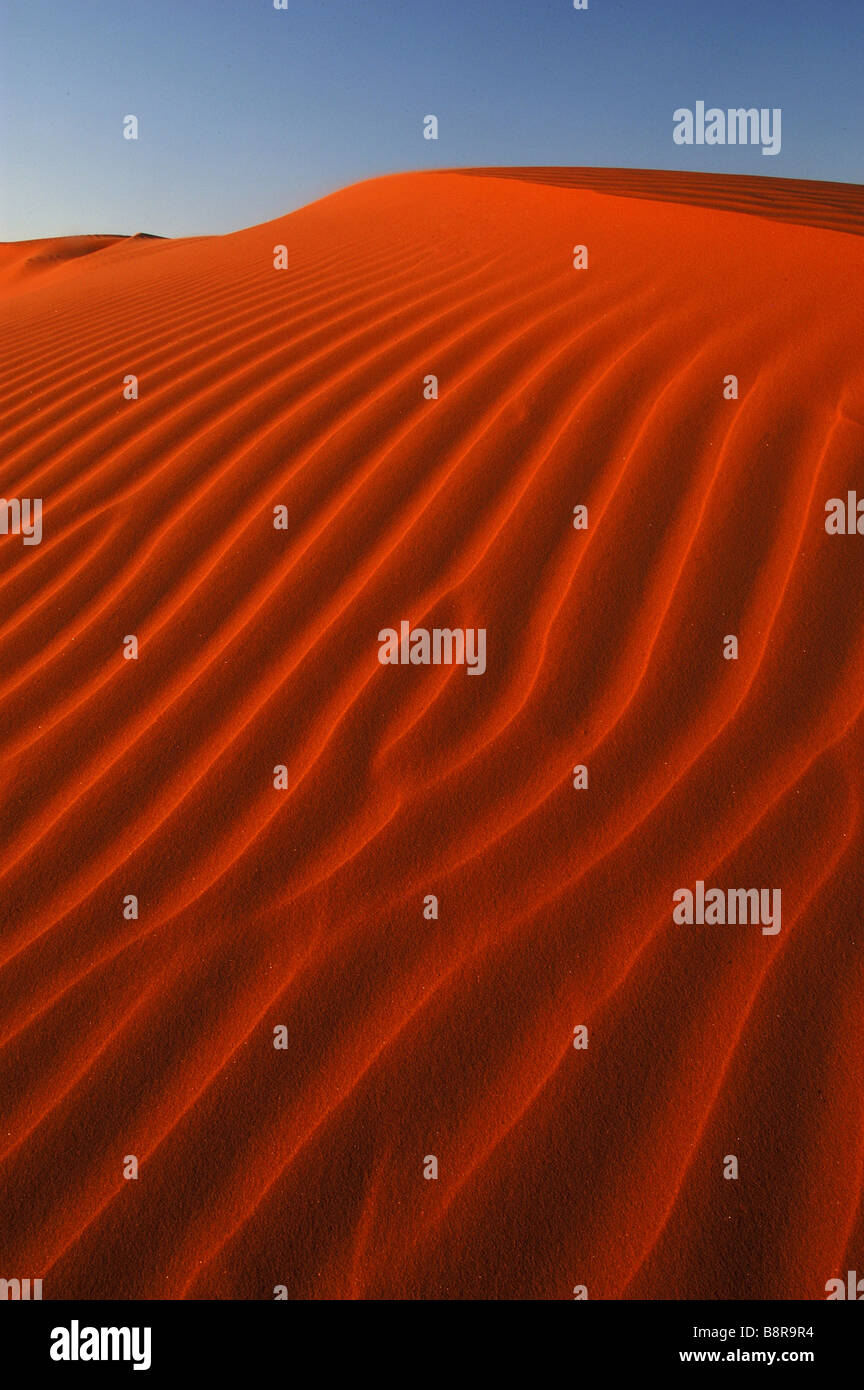 dunes of Sossusvlei - riplle marks on red dune, Namibia Stock Photo - Alamy