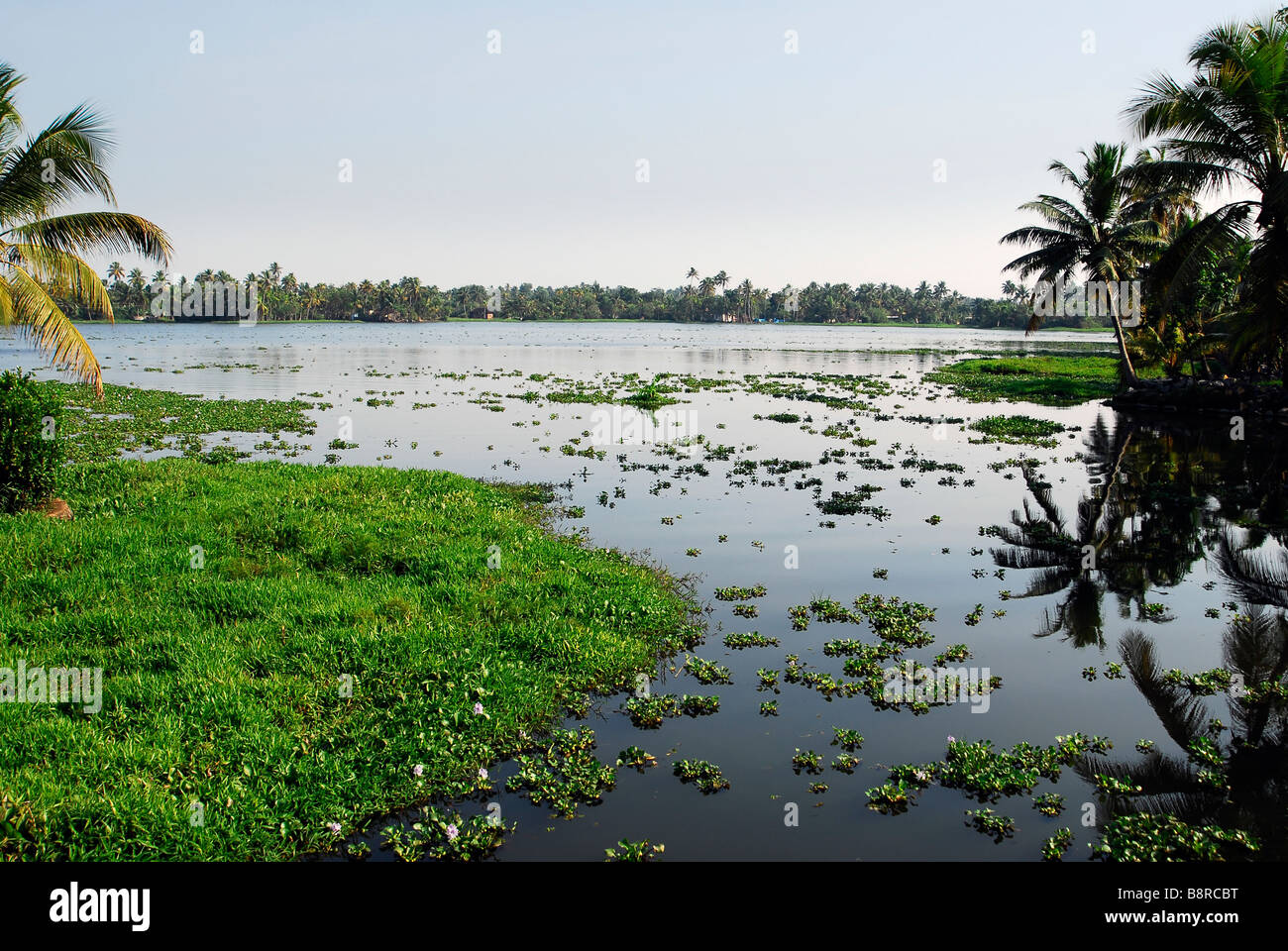Backwaters of Kerala, South India Stock Photo - Alamy