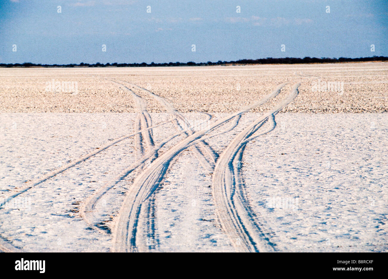 vehicle tracks on salt pan Sua Pan Stock Photo - Alamy