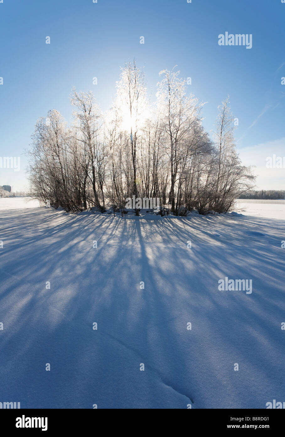 Tree sunburst snow landscape hi-res stock photography and images - Alamy