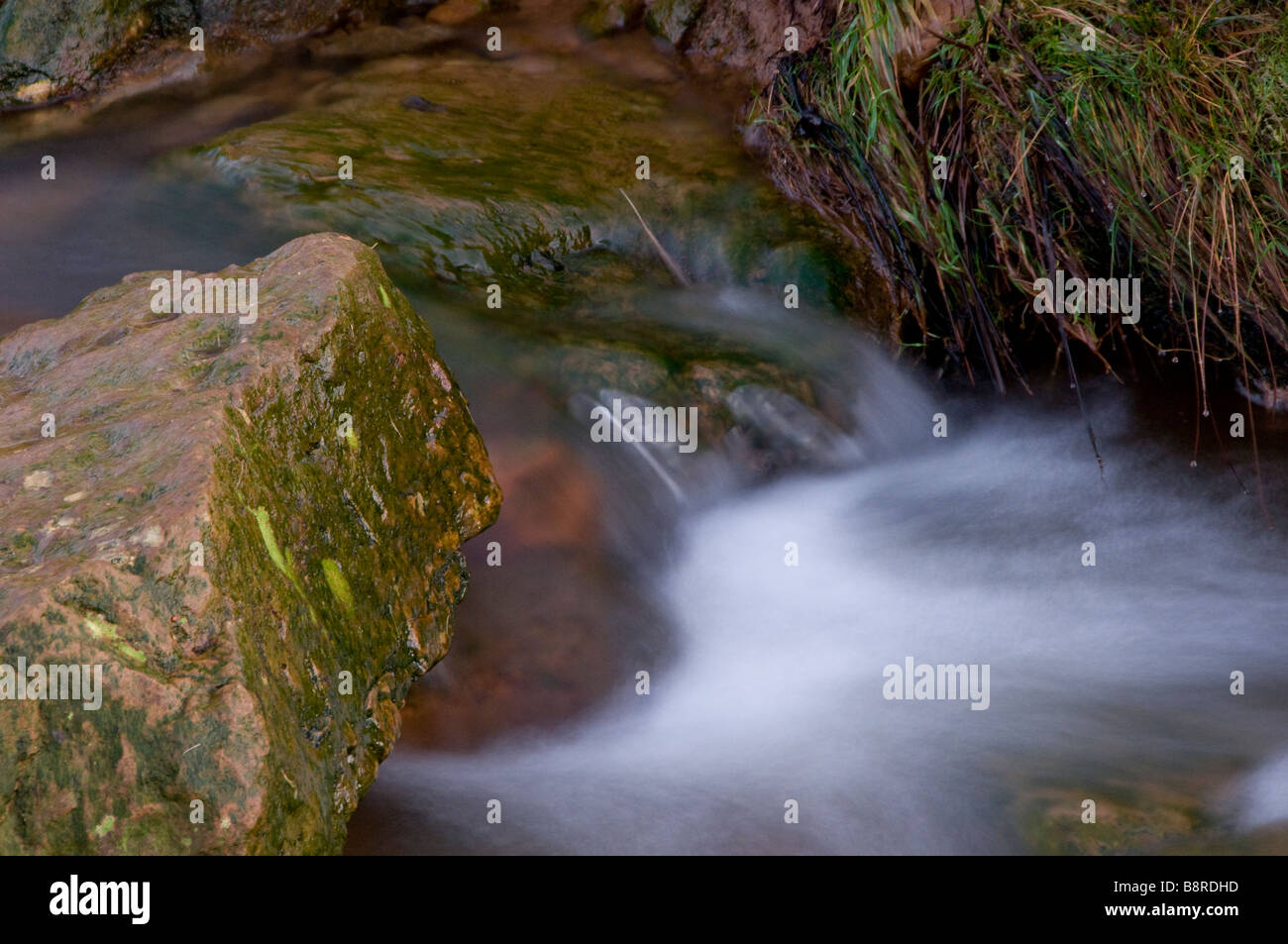 Flwoing water in a stream Stock Photo - Alamy
