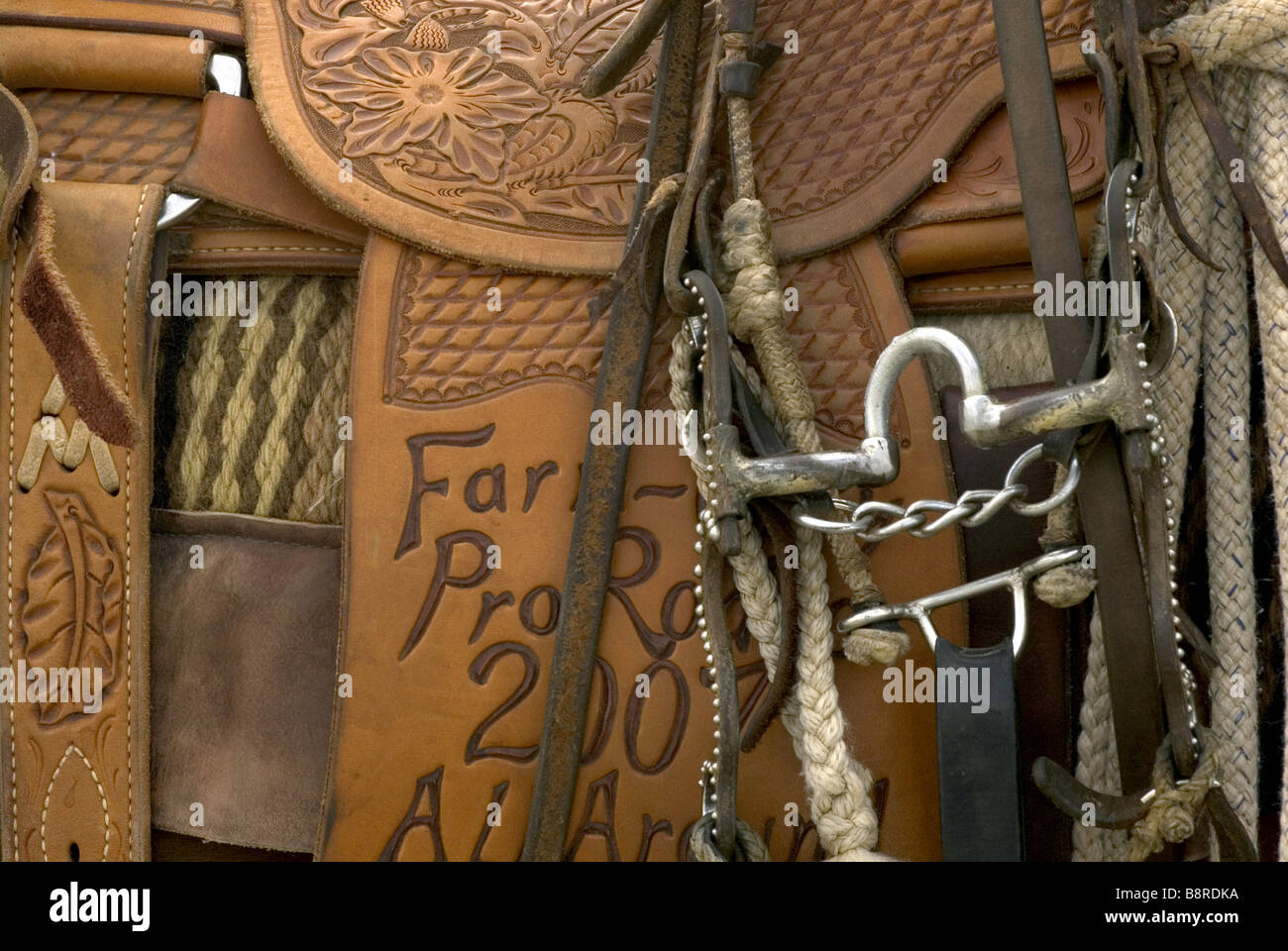 Rodeo rodeos hi-res stock photography and images - Alamy