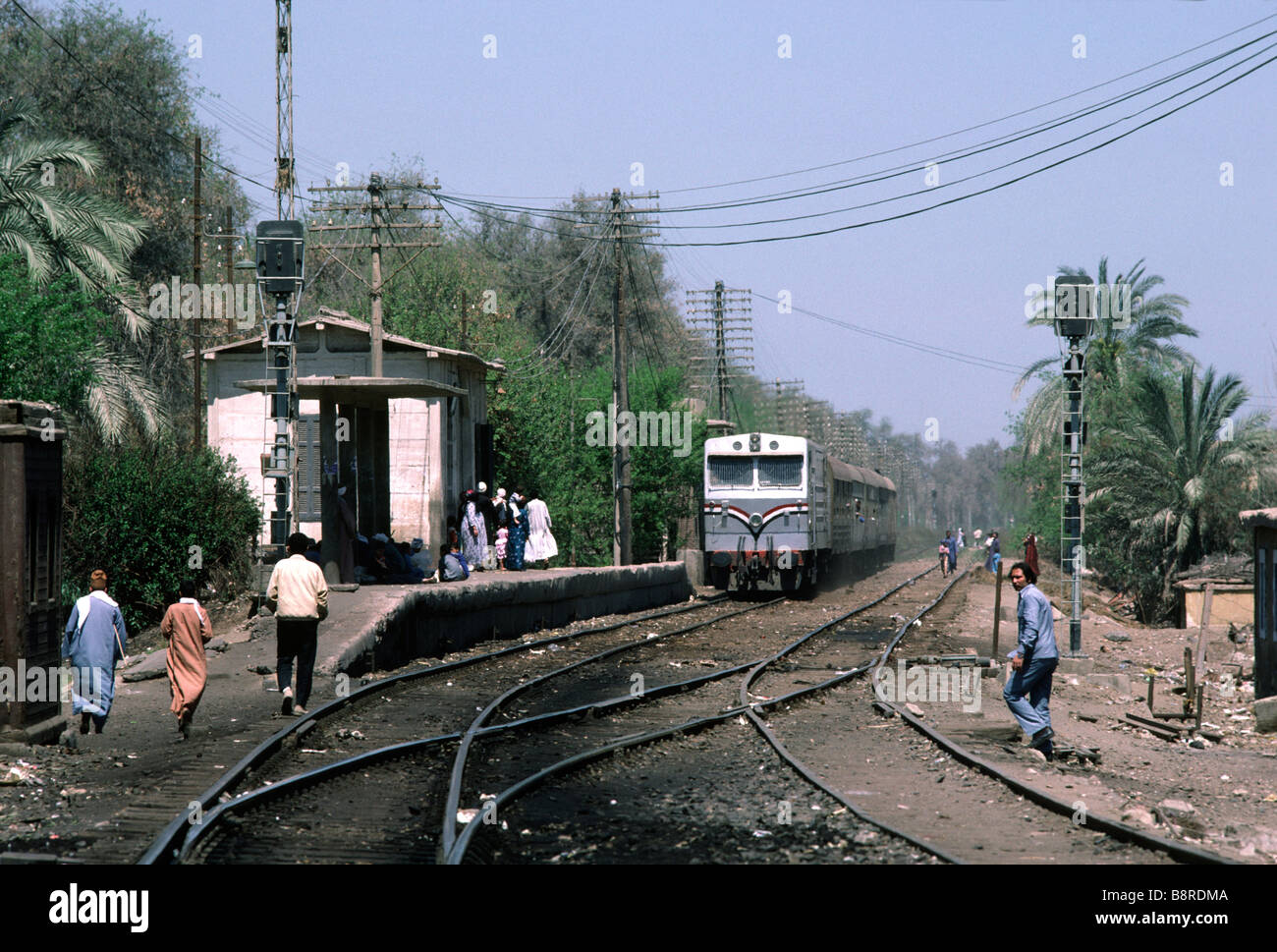 Railway train egypt hi-res stock photography and images - Alamy