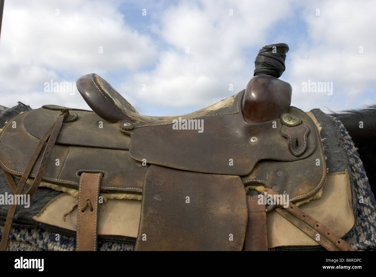 Western Calf Ropers Saddle Stock Photo - Alamy