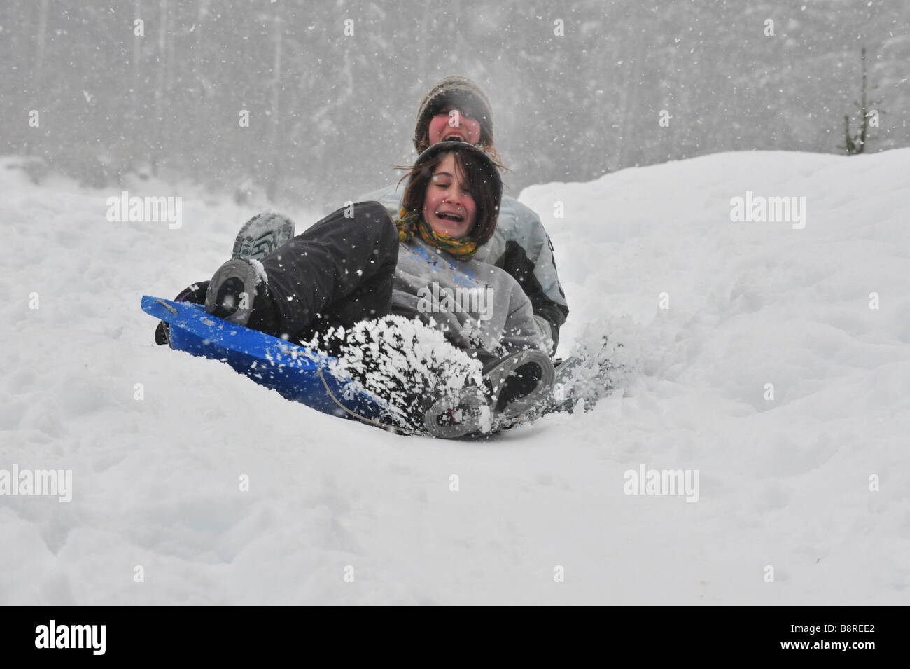 Teenage girls sledding in the snow on a saucer Stock Photo - Alamy