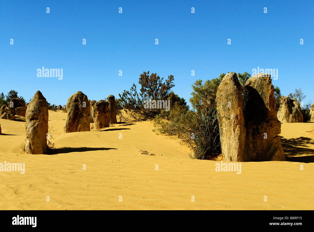 The Pinnacles Nambung National Park Western Australia limestone ...