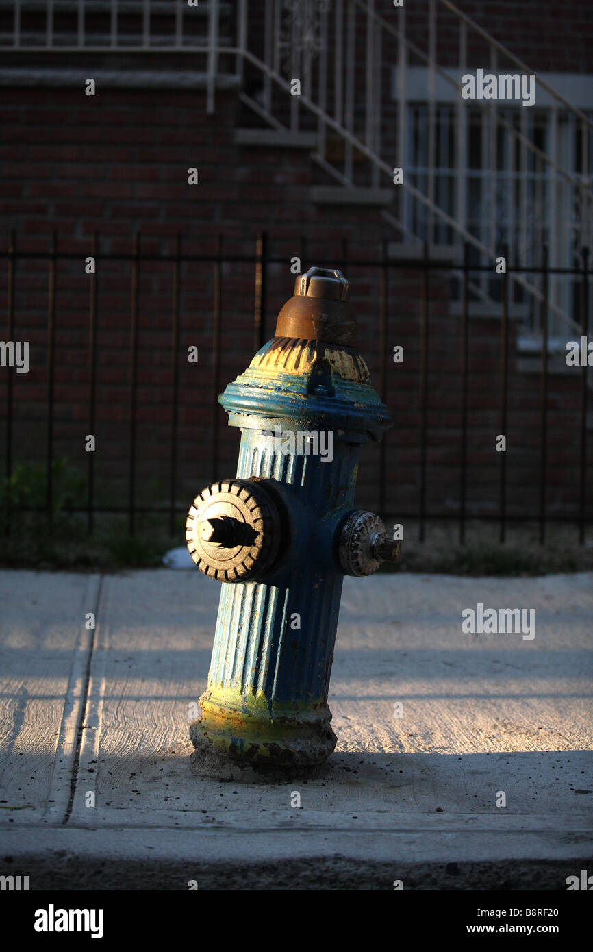 Fire Hydrant at Golden Hour Stock Photo - Alamy