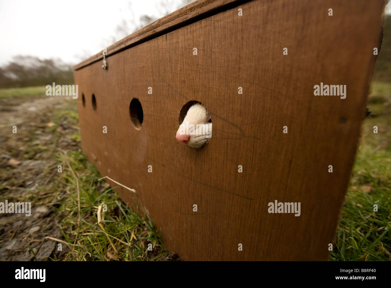 Hunting box hi-res stock photography and images - Alamy
