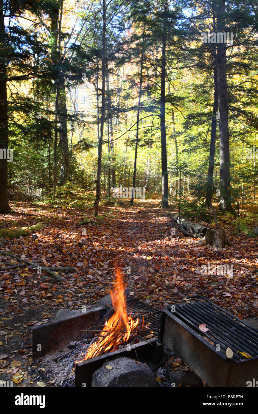 A morning campfire Stock Photo - Alamy