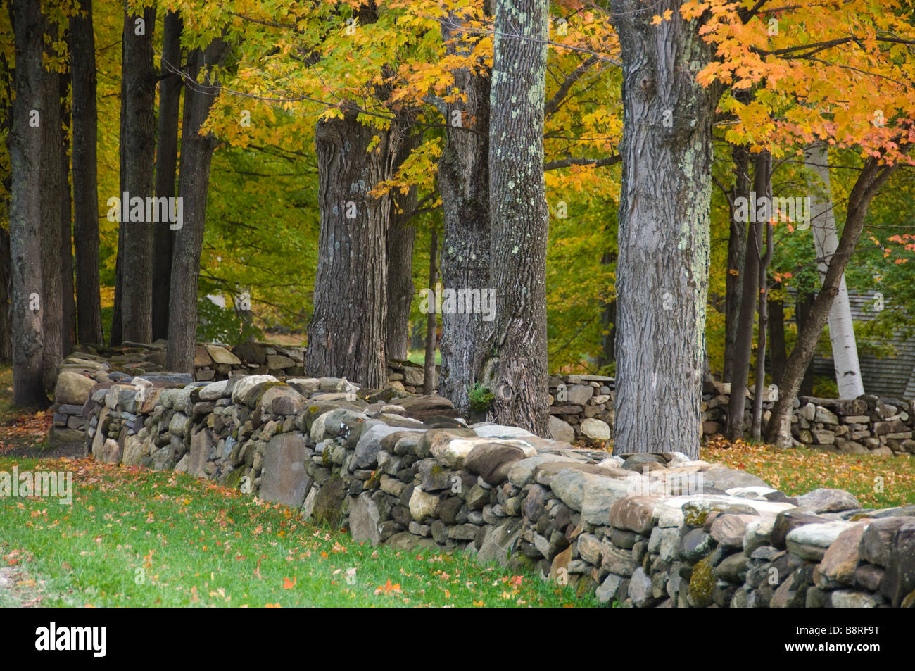 Stone wall new england forest hi-res stock photography and images - Alamy