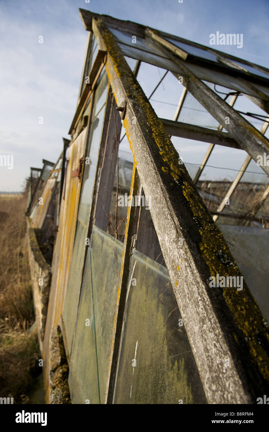 Old greenhouses hi-res stock photography and images - Alamy