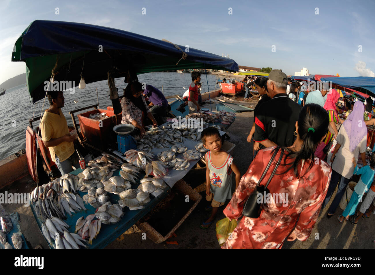 Fish market Kota Kinabalu Sabah Malaysia Borneo South est Asia Stock ...
