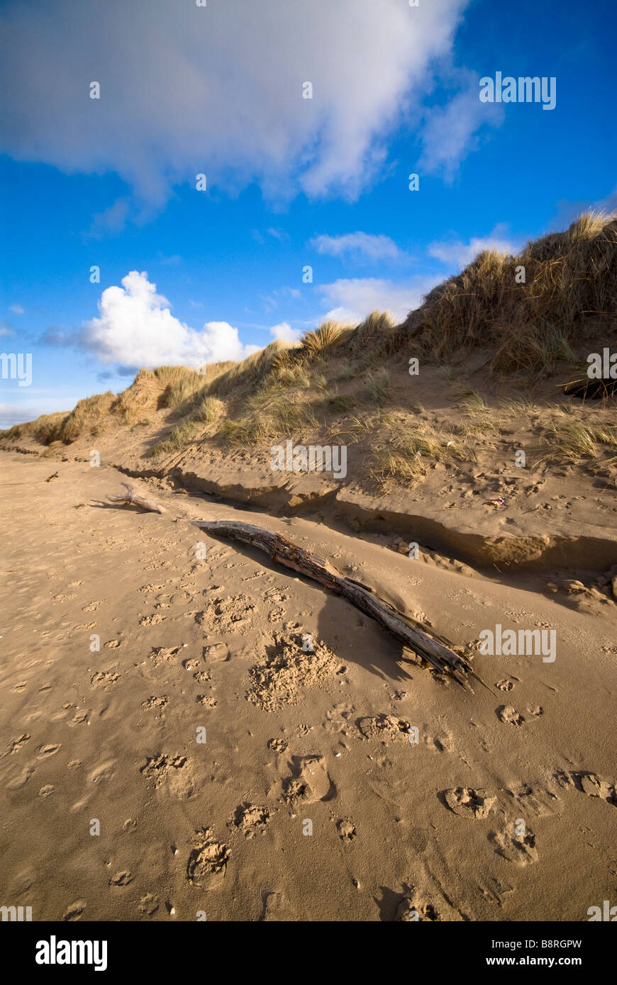 Formby National Trust High Resolution Stock Photography and Images - Alamy