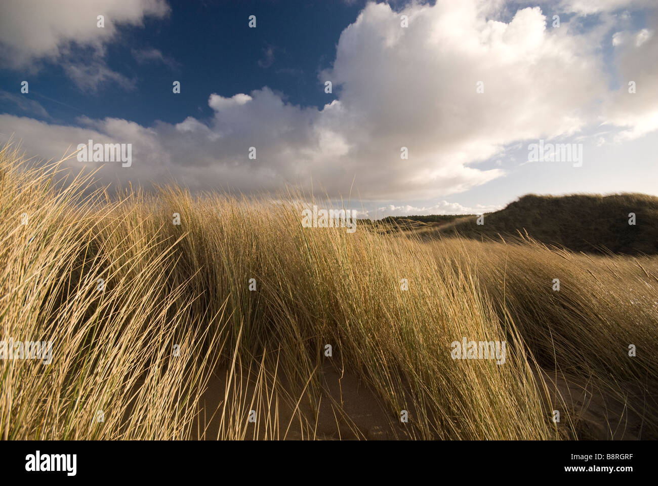 Formby Sand Dunes Stock Photo - Alamy