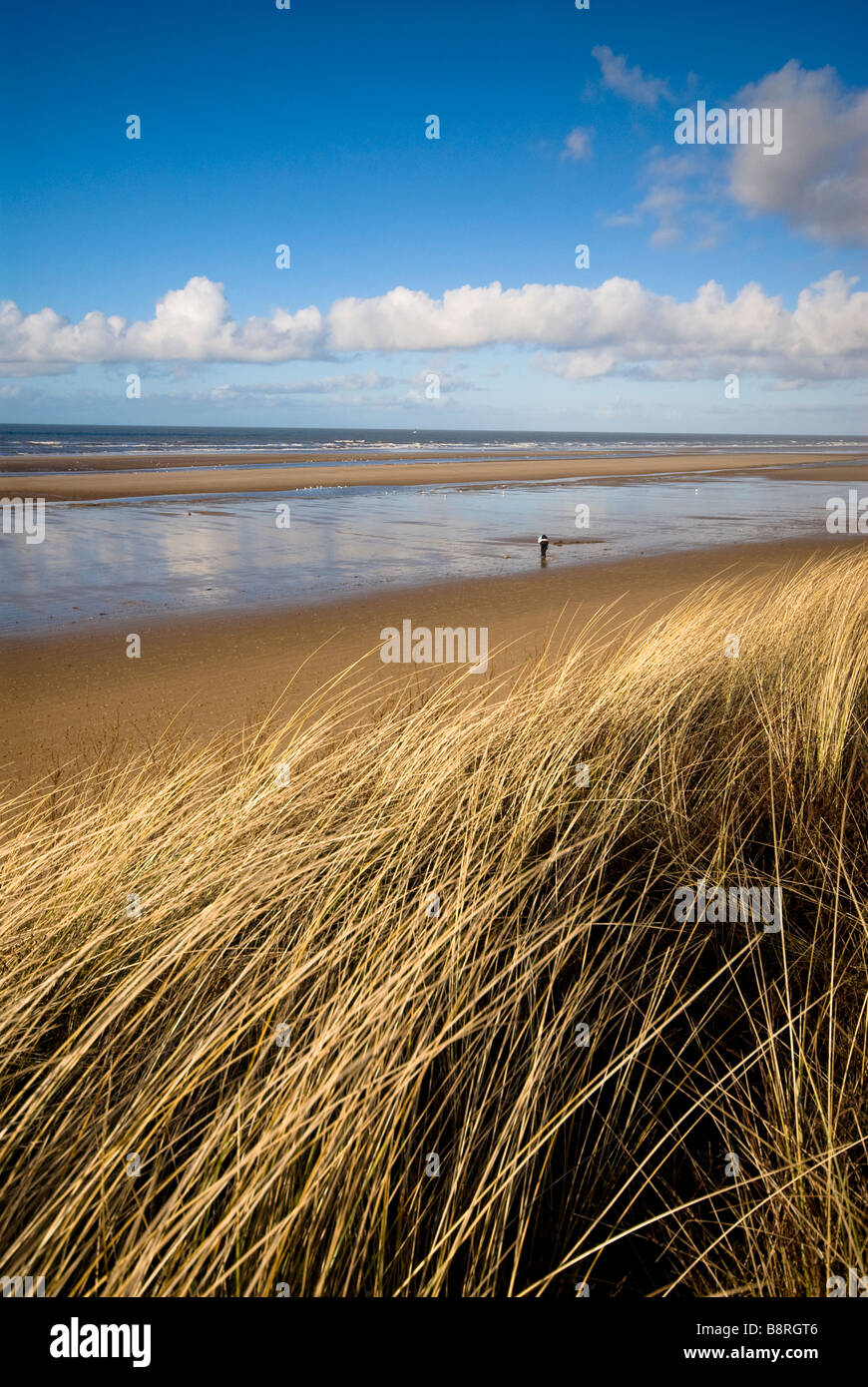 Formby coast sand dunes hi-res stock photography and images - Alamy