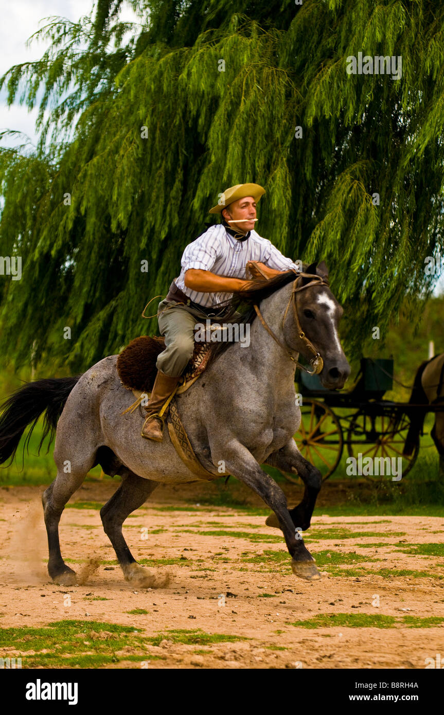 Argentinean horse rancher, Buenos Aires Stock Photo - Alamy