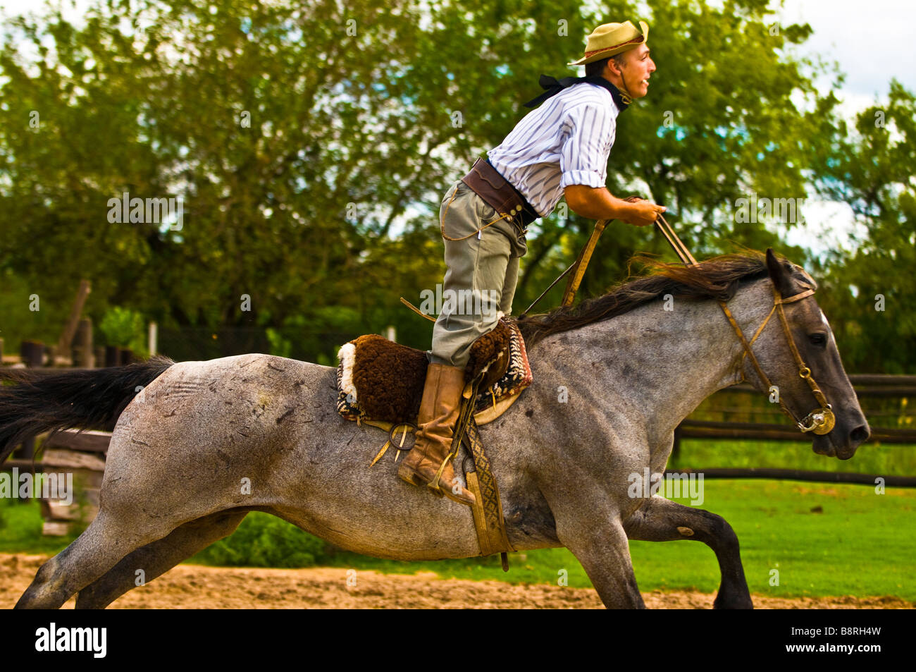 Argentinean horse rancher, Buenos Aires Stock Photo - Alamy