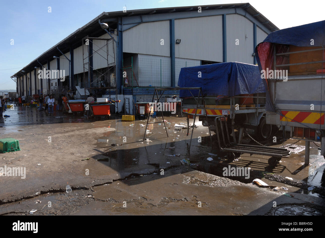 SAFMA fish market Kota Kinabalu Sabah Malyasia Borneo South east Asia ...