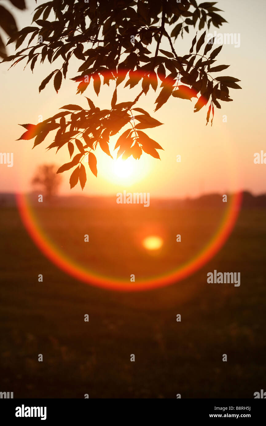 Picture of a romantic sunset Stock Photo - Alamy