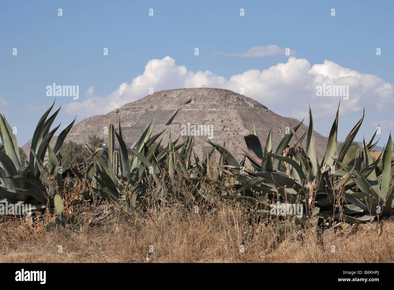 Pyramid of the Moon and agava plants. Teotihuacan, Mexico Stock Photo ...