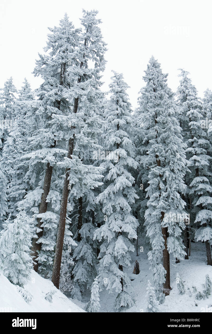Wa state backgrounds hi-res stock photography and images - Alamy