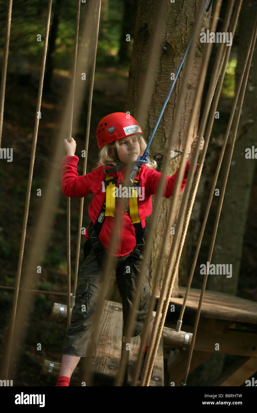 Girl Tree Top Adventure Betws y Coed Snowdonia North Wales UK Stock ...