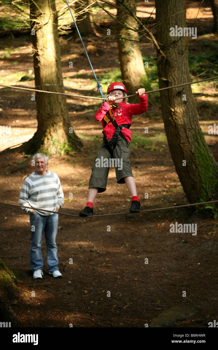 Girl Tree Top Adventure Betws y Coed Snowdonia North Wales UK Stock ...