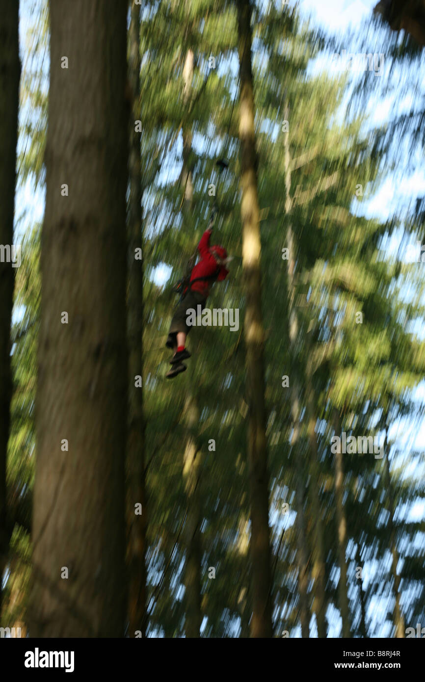 Betws y coed tree top hi-res stock photography and images - Alamy
