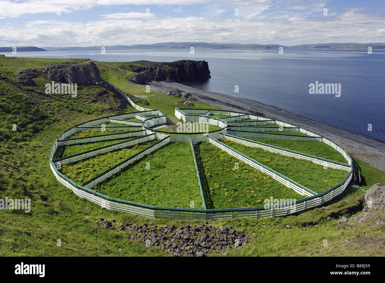 sheepcote Hamarsrett, Iceland, Vatnsnes Stock Photo - Alamy