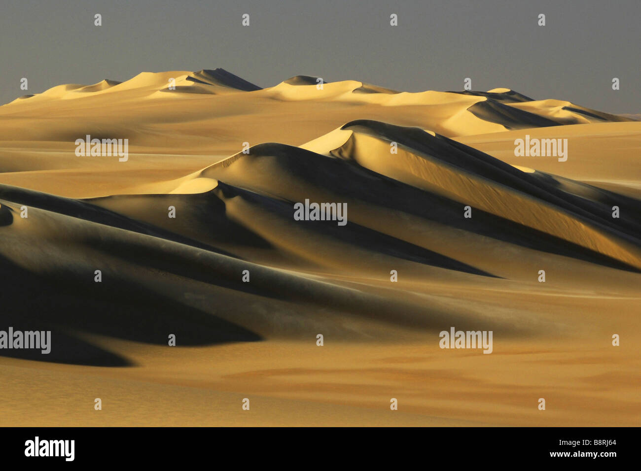 Crescentic dune hi-res stock photography and images - Alamy