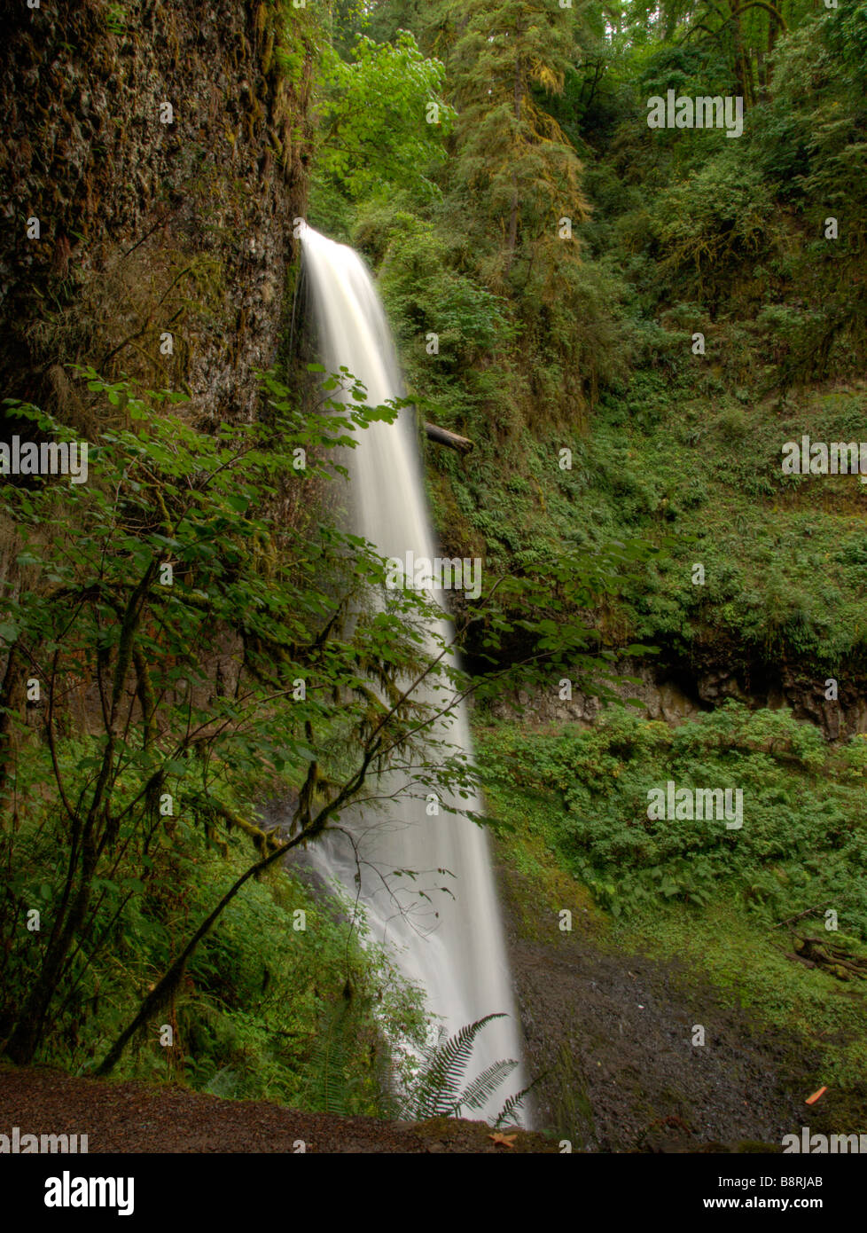 Middle North Falls at Silver Creek Falls State Park Stock Photo - Alamy