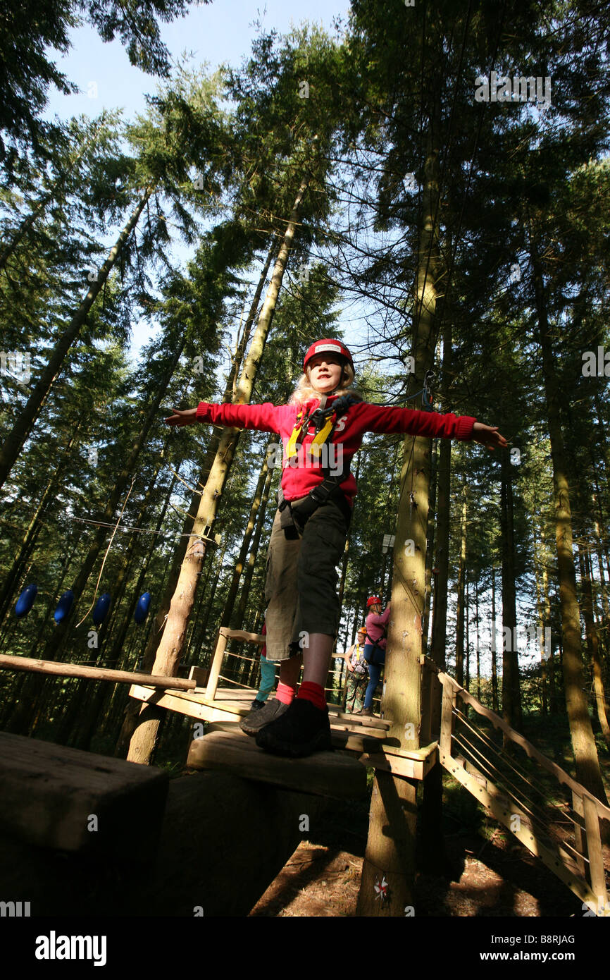 Girl Tree Top Adventure Betws y Coed Snowdonia North Wales UK Stock ...