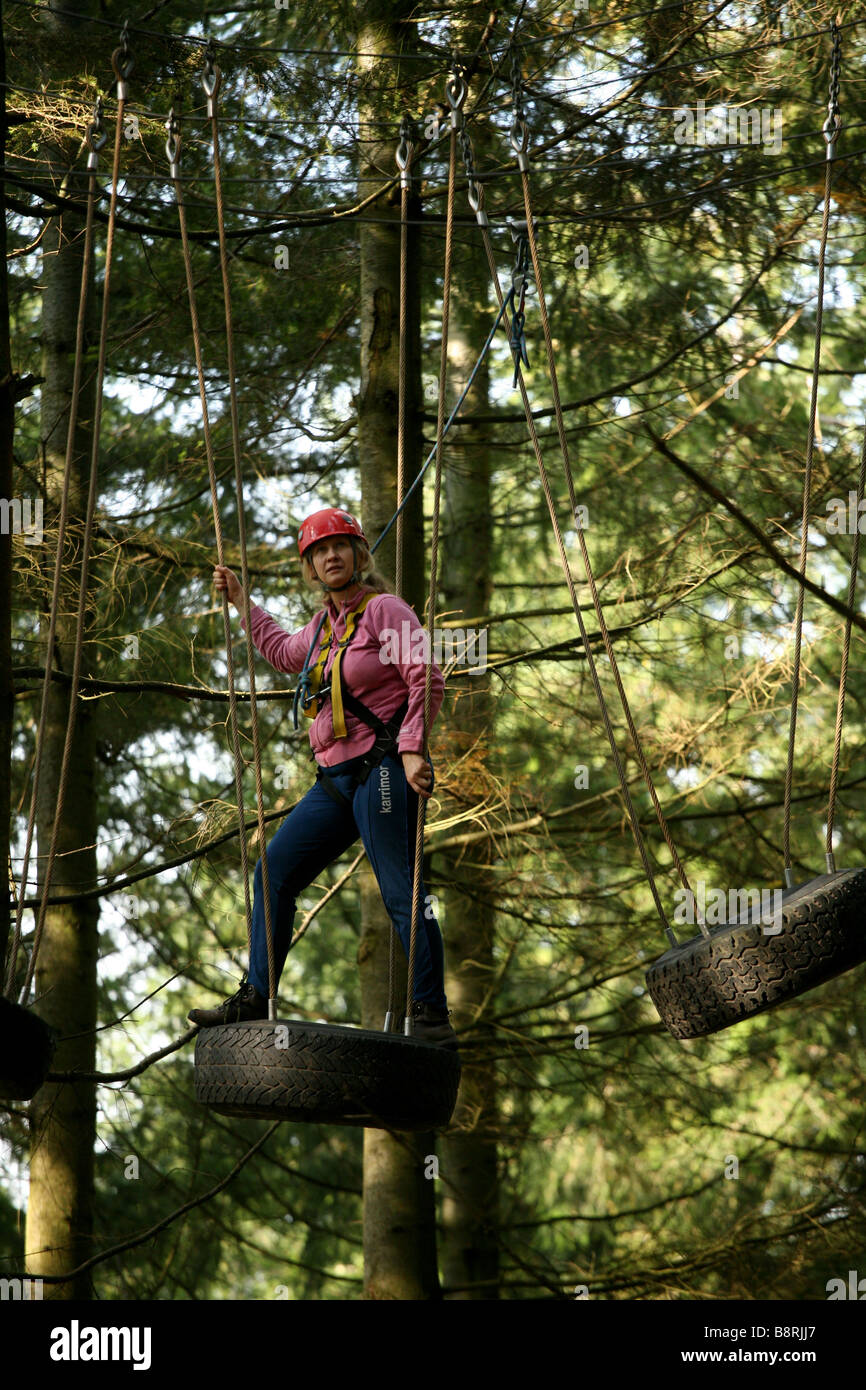 Woman Tree Top Adventure Betws y Coed Snowdonia North Wales UK Stock ...