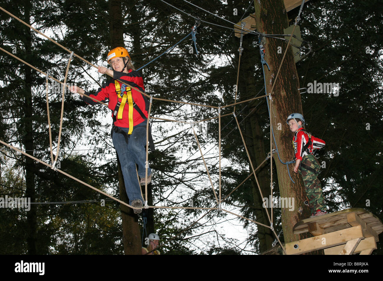 Tree Top Adventure Betws y Coed Snowdonia North Wales UK Stock Photo ...