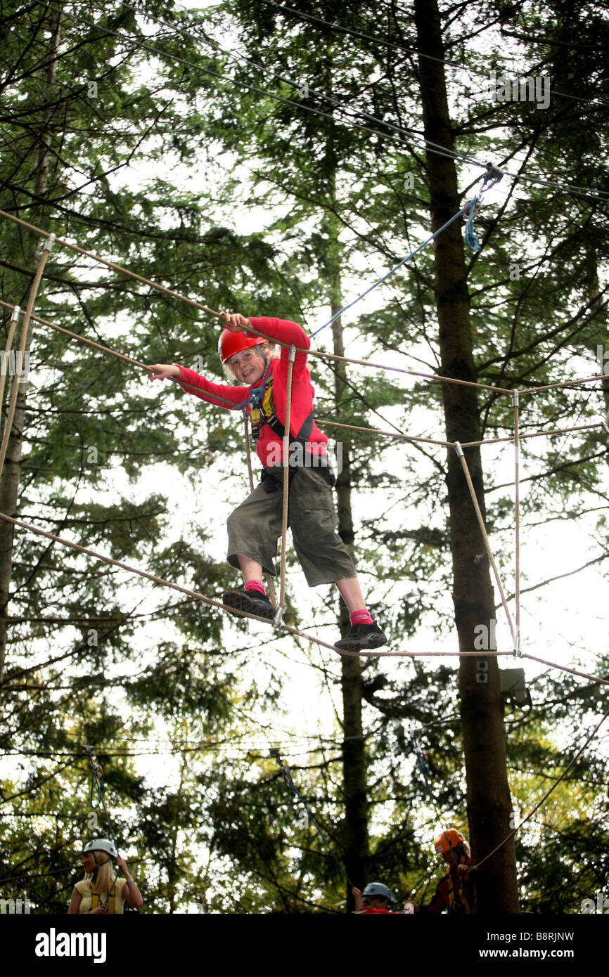 Girl at Tree Top Adventure Betws y Coed Snowdonia Gwynedd North Wales ...