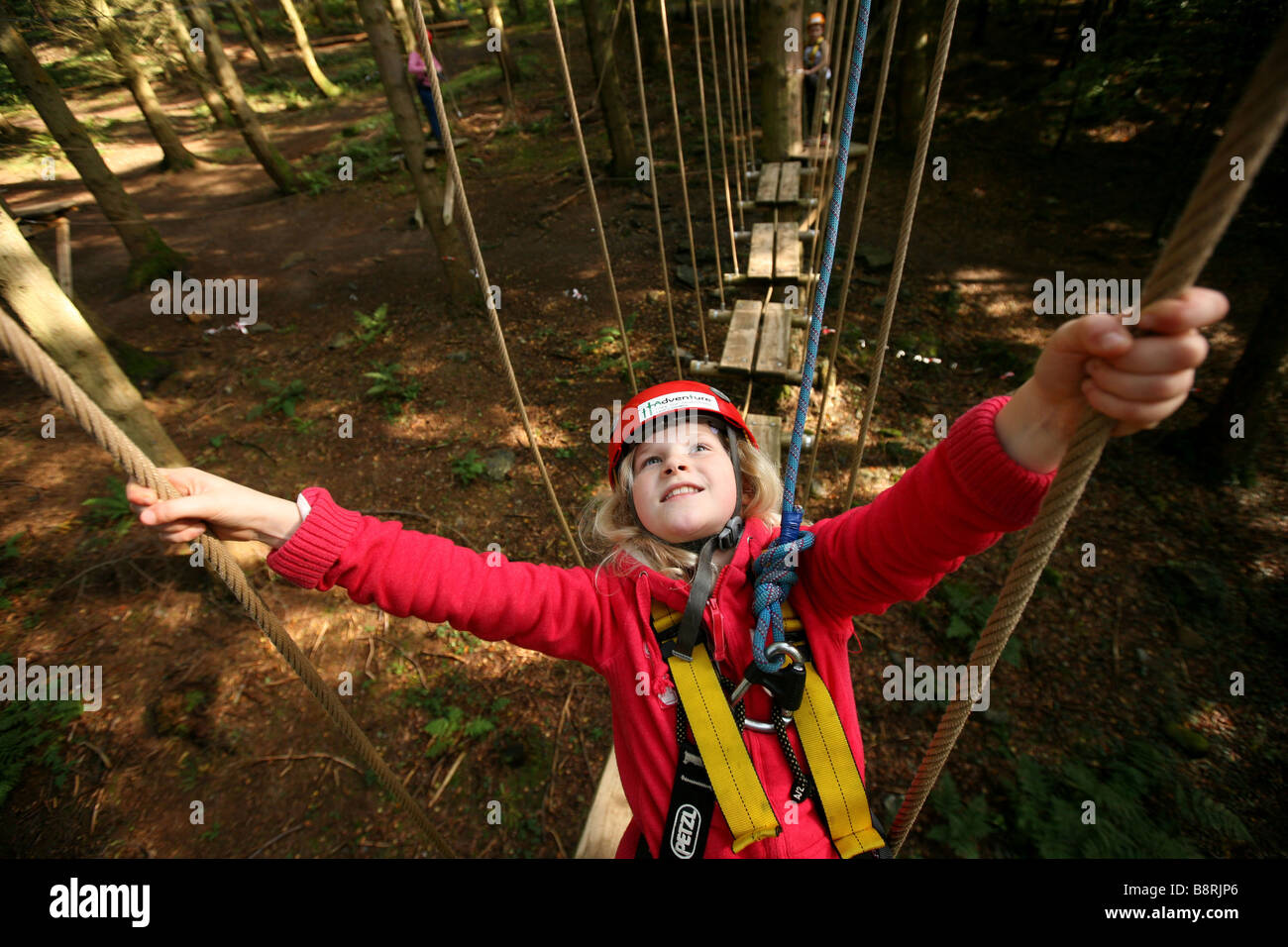 Girl at Tree Top Adventure Betws y Coed Snowdonia Gwynedd North Wales ...