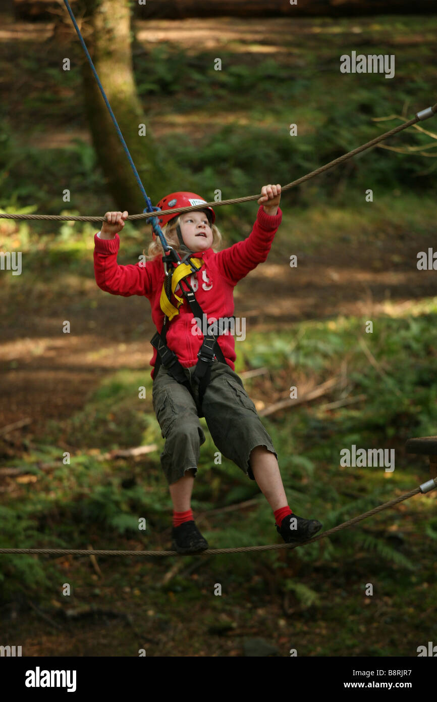 Girl at Tree Top Adventure Betws y Coed Snowdonia Gwynedd North Wales ...