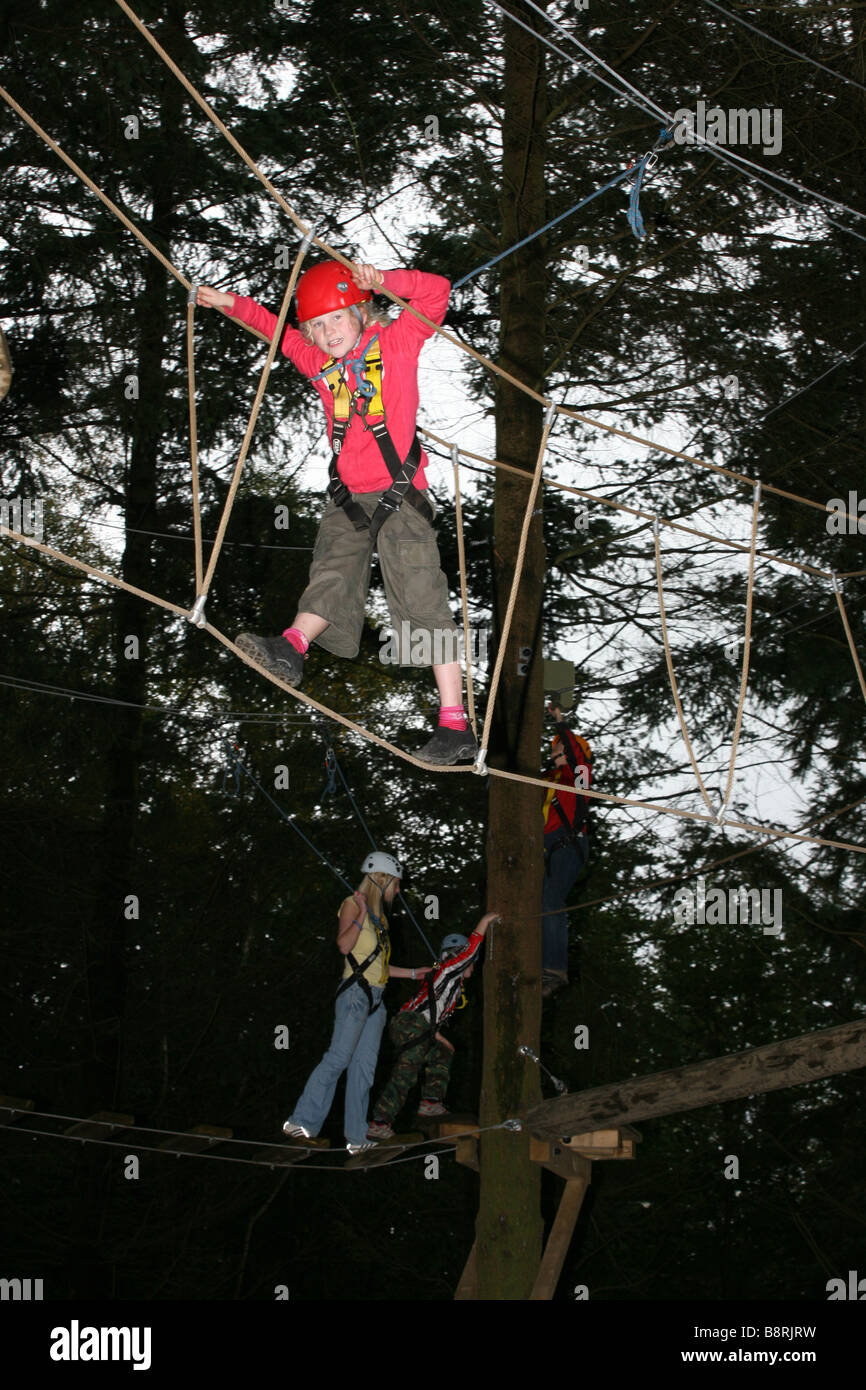 Girl Tree Top Adventure Betws y Coed Snowdonia North Wales UK Stock ...