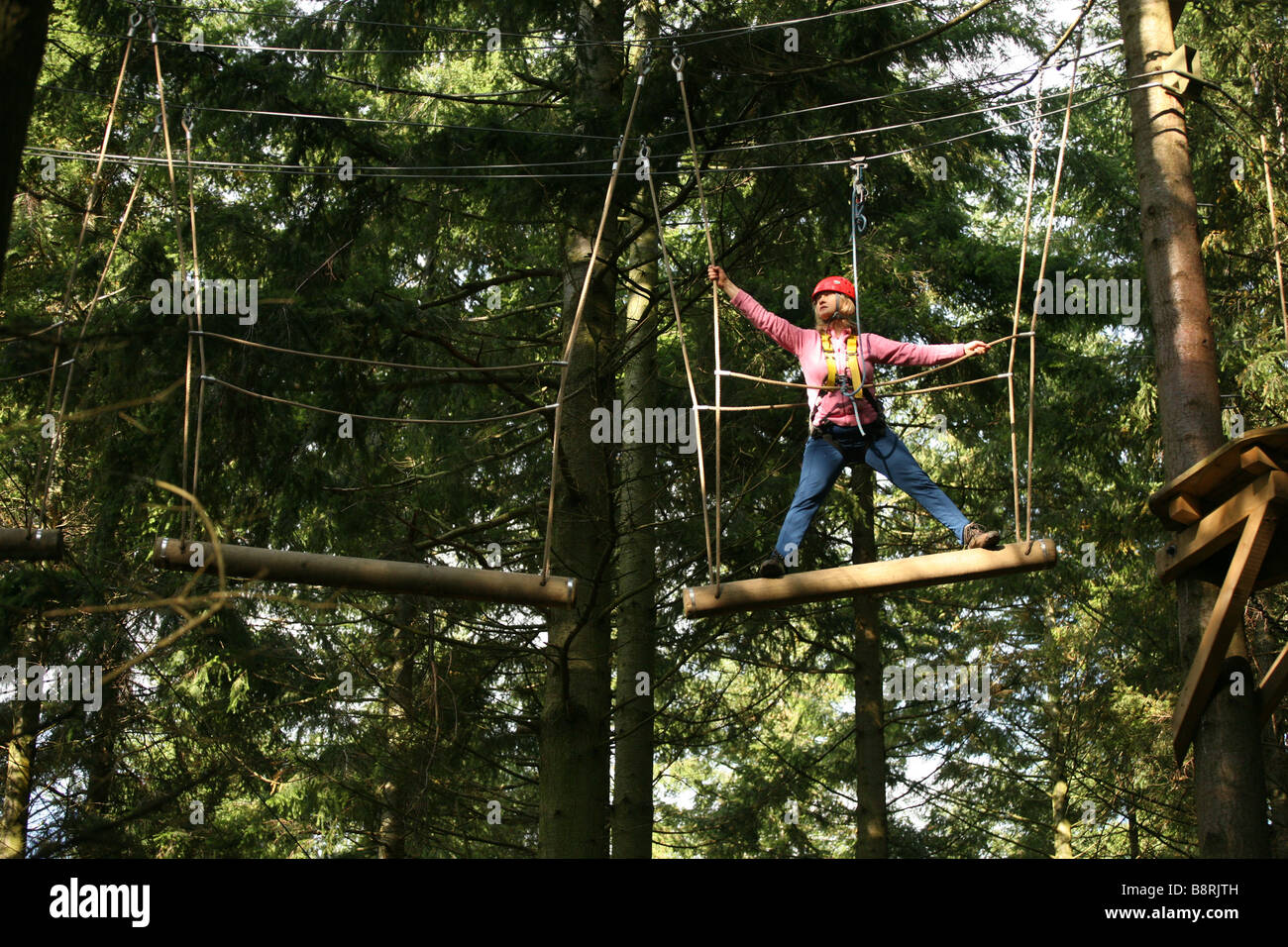 Girl Tree Top Adventure Betws y Coed Snowdonia North Wales UK Stock ...