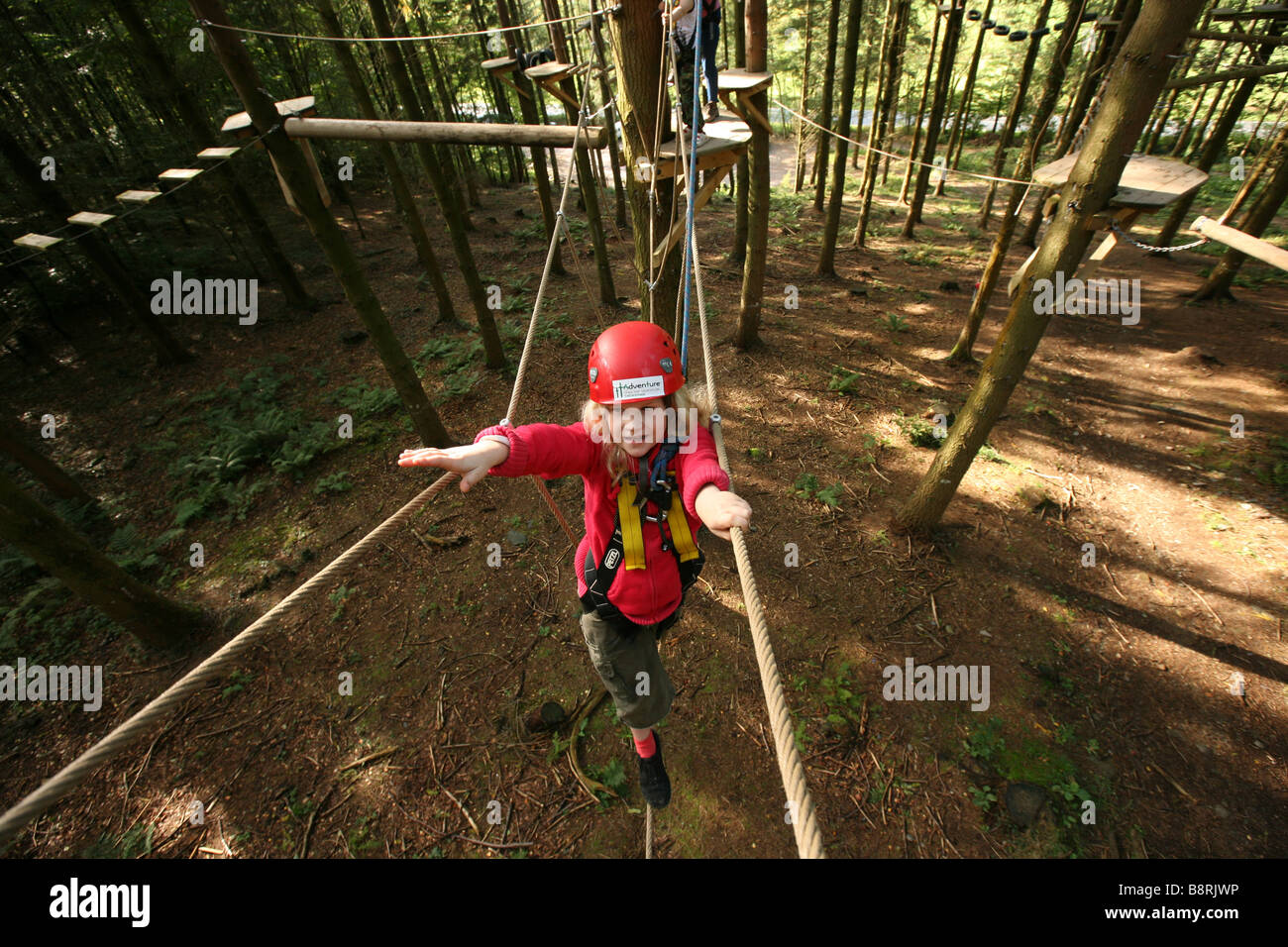 Girl at Tree Top Adventure Betws y Coed Snowdonia Gwynedd North Wales ...