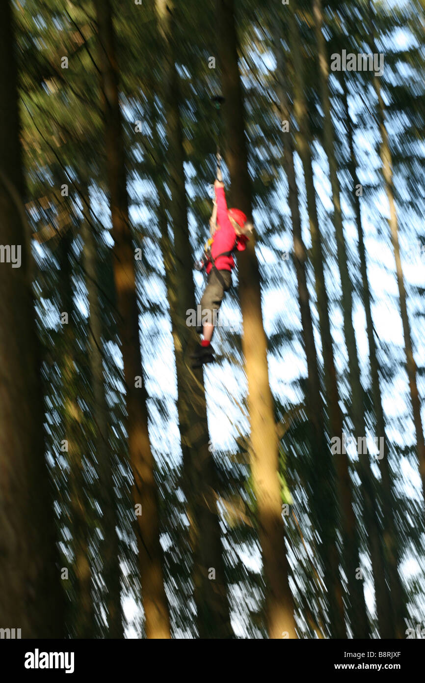 Girl at Tree Top Adventure Betws y Coed Snowdonia Gwynedd North Wales ...