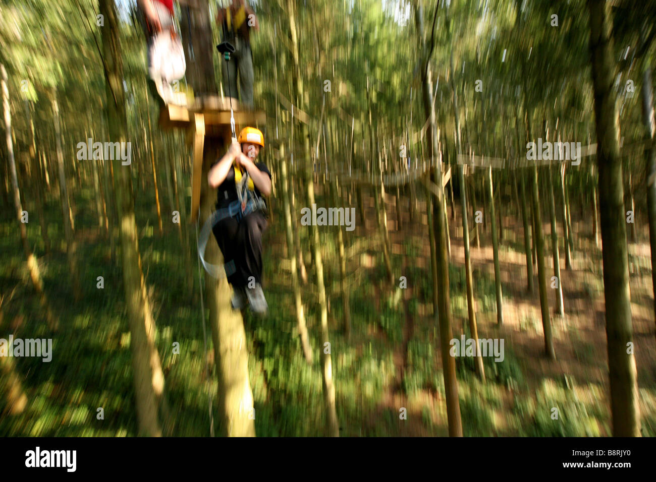 Girl Tree Top Adventure Betws y Coed Snowdonia North Wales UK Stock ...