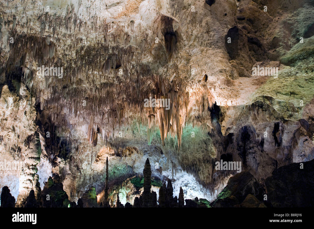 The "Big Room" of Carlsbad Caverns National Park Stock Photo - Alamy