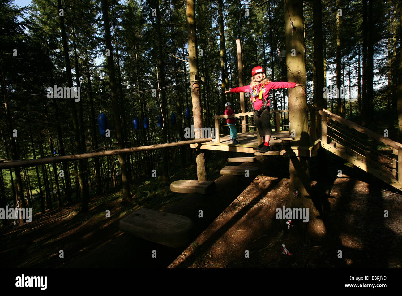 Girl at Tree Top Adventure Betws y Coed Snowdonia Gwynedd North Wales ...