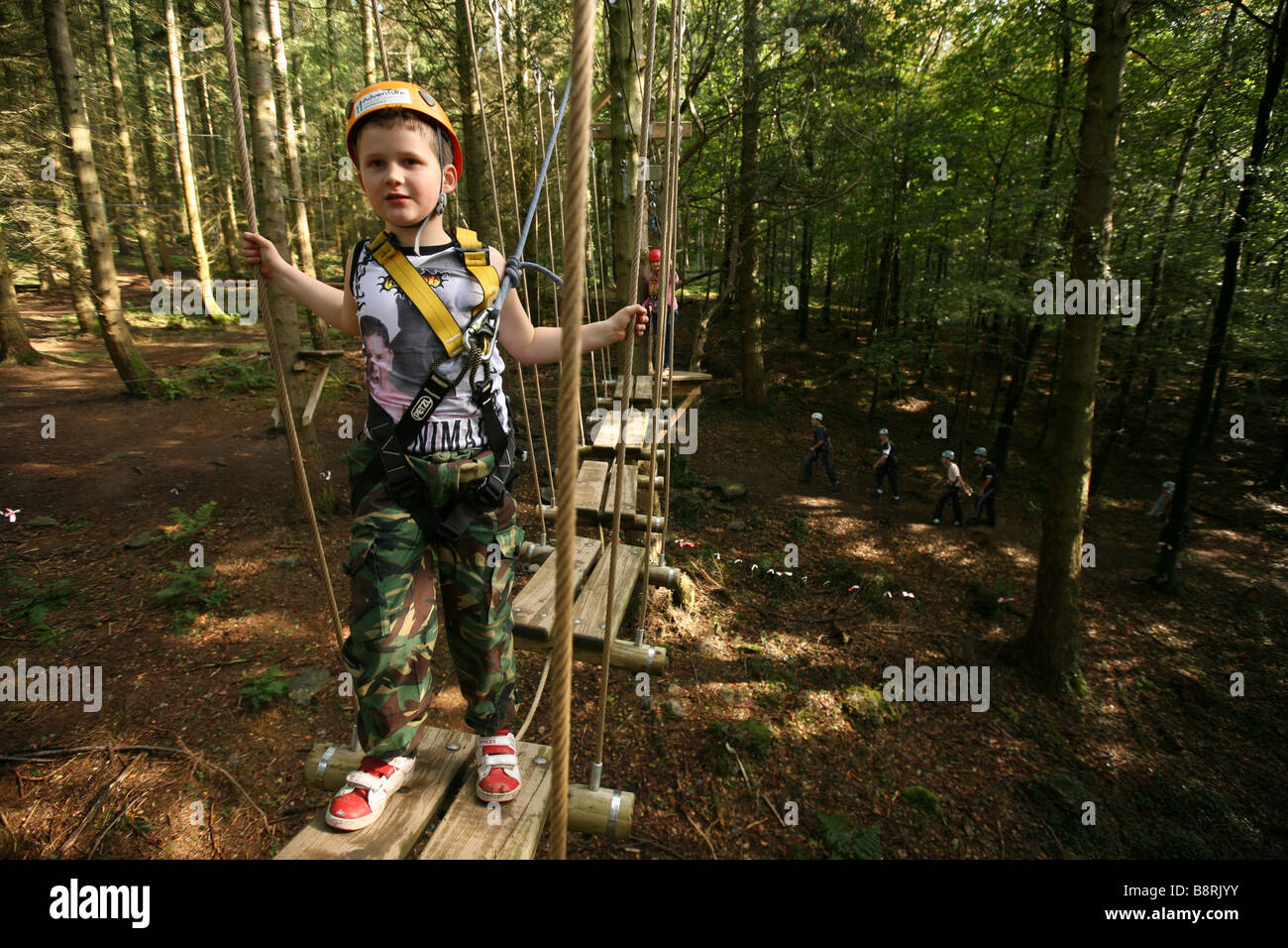 Boy Tree Top Adventure Betws y Coed Snowdonia North Wales UK Stock ...
