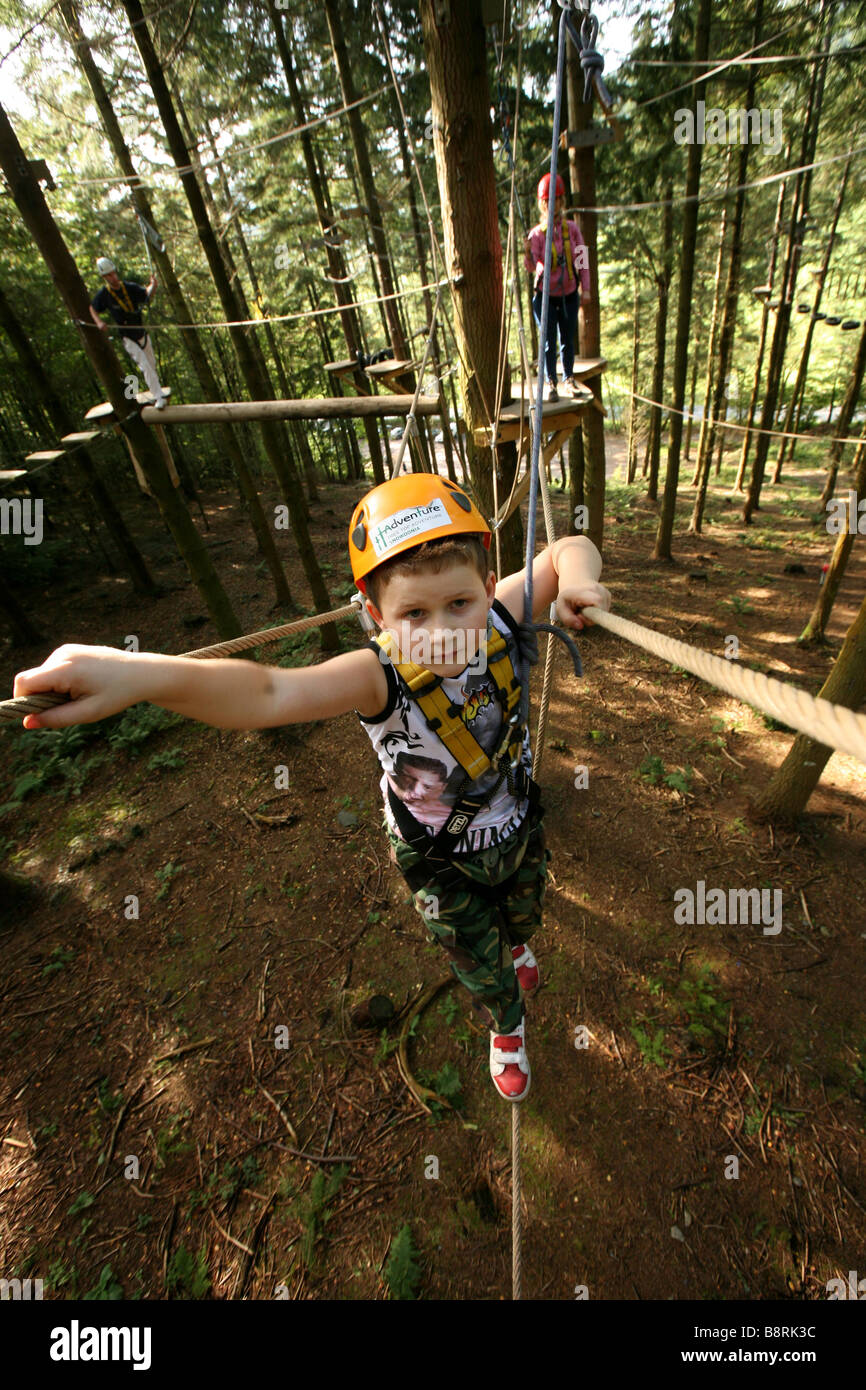 Boy Tree Top Adventure Betws y Coed Snowdonia North Wales UK Stock ...